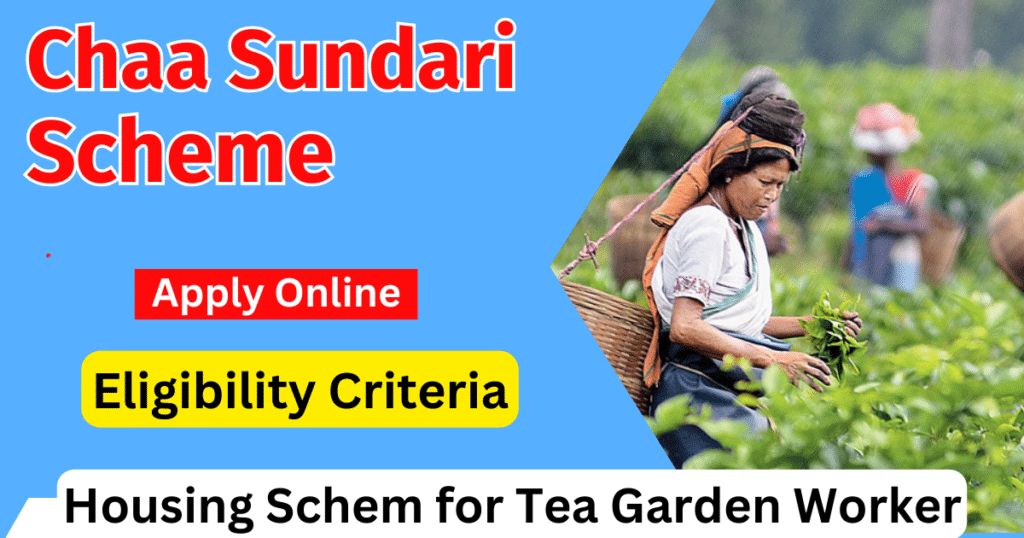 Chaa Sundari Scheme Apply Online 2024 : Eligibility & Benefits