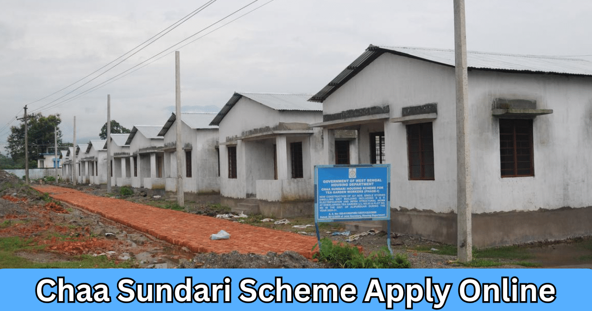 Chaa Sundari Scheme Apply Online 2024 : Eligibility & Benefits